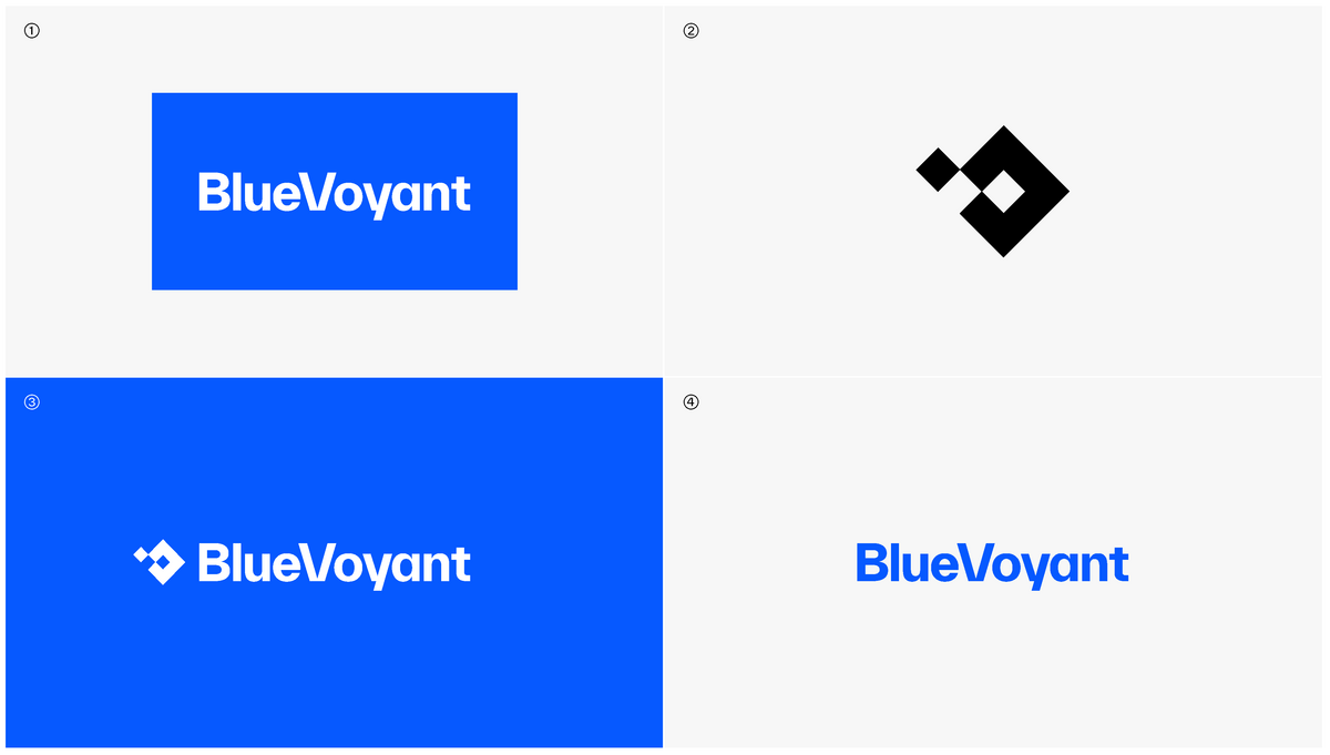 BlueVoyant Brand Guidelines