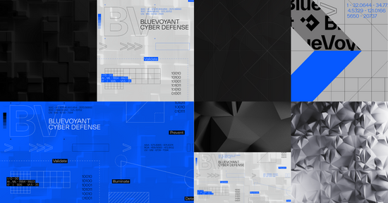 BlueVoyant Brand Guidelines